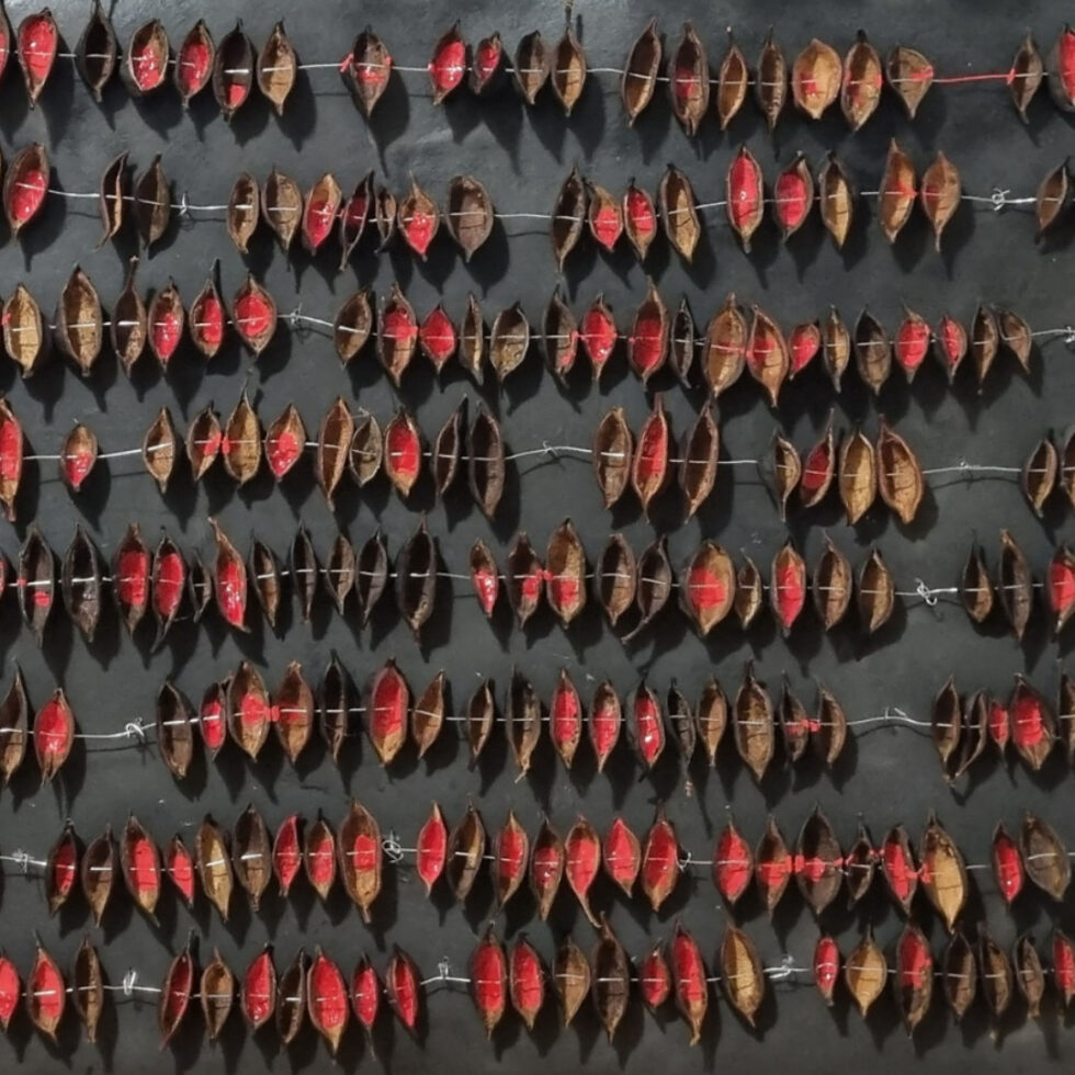 Einat Lev Ari | March 2025, Member of the Month - Visual Artists ...