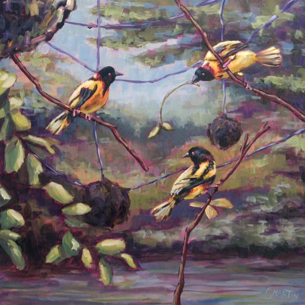 Gary Martin - Visual Artists Association